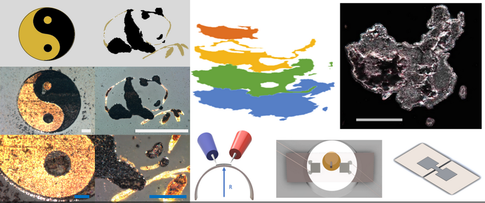 Photos | Sen Yang Research Lab