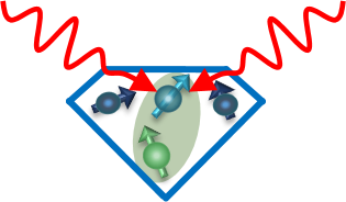 Spin Photon Interactions | Sen Yang Research Lab